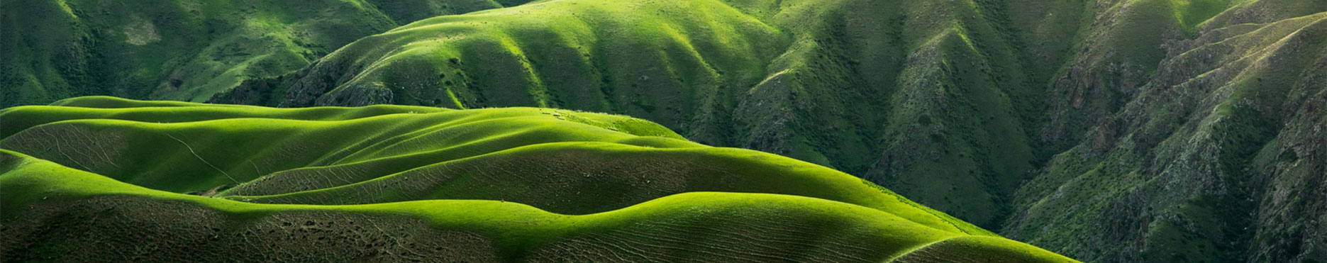 Diamond Packaging - Beauty Packaging