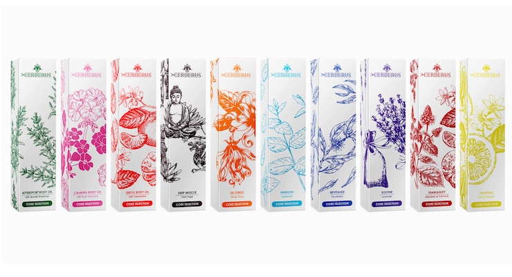 4 Design Trends in Today’s Cosmetic Packaging - Beauty Packaging
